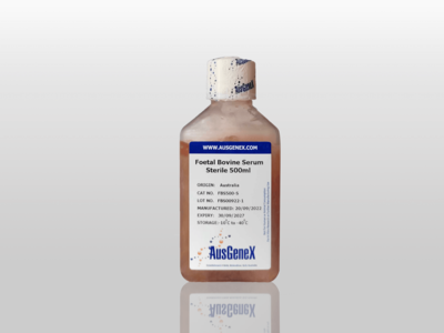 AusgeneX澳洲胎牛血清 - 高品质细胞培养优选 - 上海富衡生物科技有限公司