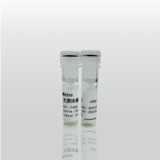 永生化小鼠骨髓巨噬细胞；iBMDM - 上海富衡生物科技有限公司