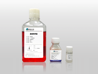 C57BL/6小鼠脂肪间充质干细胞培养试剂盒 - 上海富衡生物科技有限公司