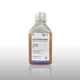 人胰腺癌细胞；PANC 05.04(STR) - 上海富衡生物科技有限公司